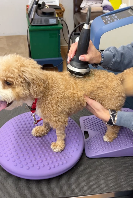 Shockwave Therapy in the Spinal Area - a Brief Literature Review