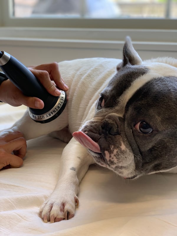 Understanding Energy Use and Definitions for Focused Shockwave Therapy